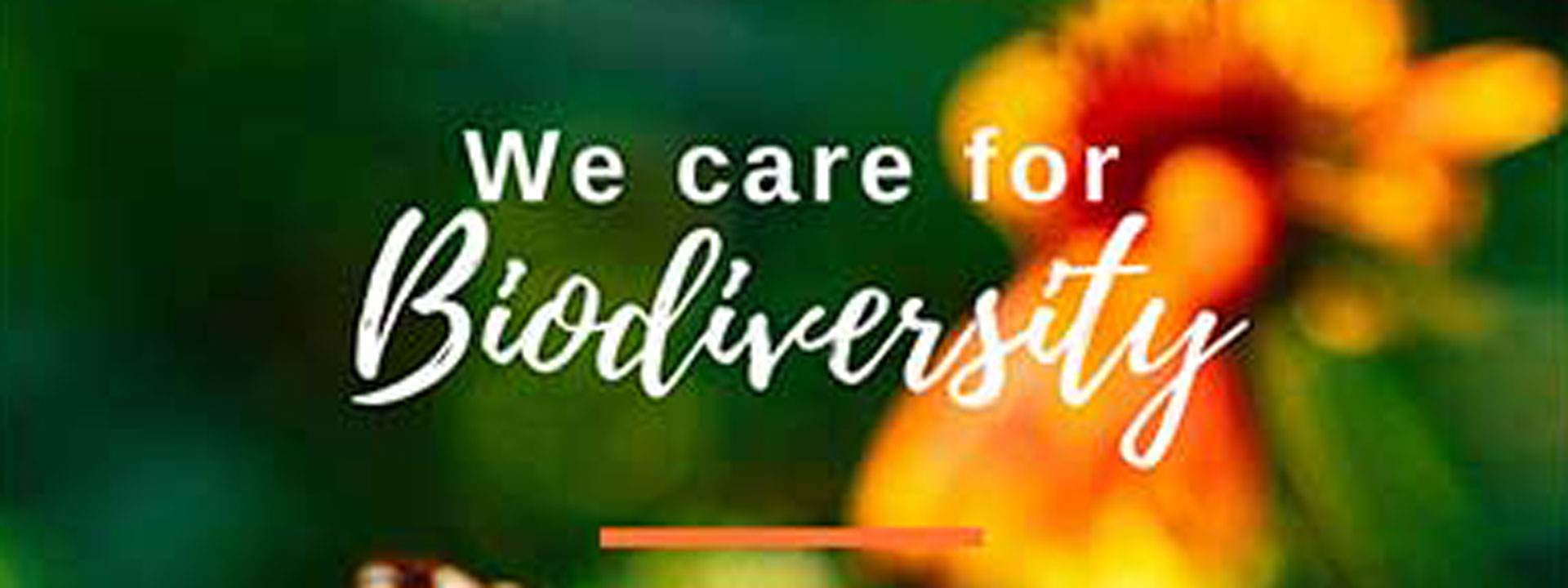 Unser Organic Day 2020: Für Biodiversität - Allos Hof-Manufaktur